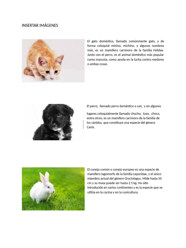 Shirley Garcia. Ejercicio de Insertar Imagenes y Graficos | PDF | Biología | Organismos