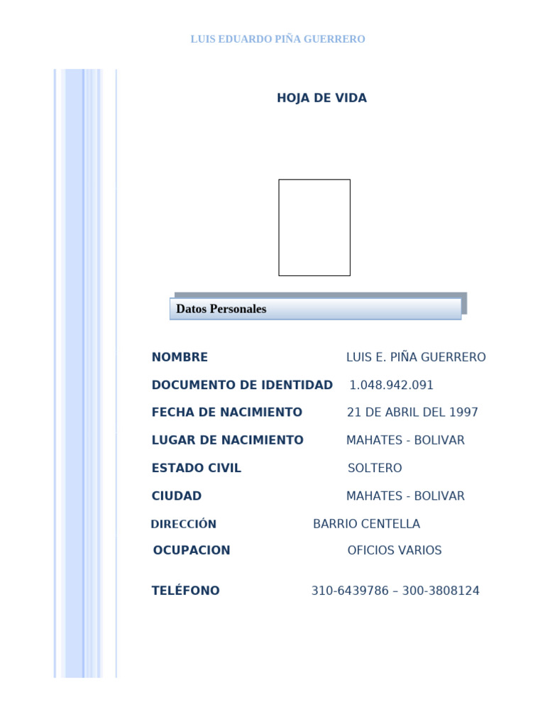 HOJA DE VIDA LUIS EDUARDO | PDF