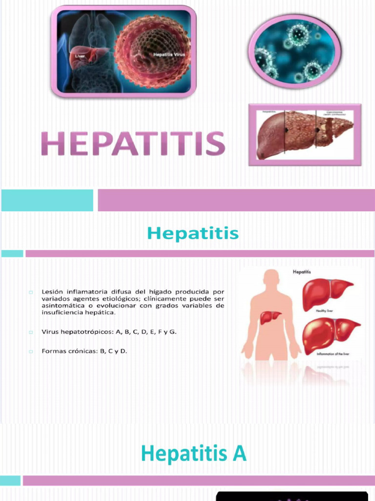 Infección por VHA: Transmisión y Riesgos | PDF