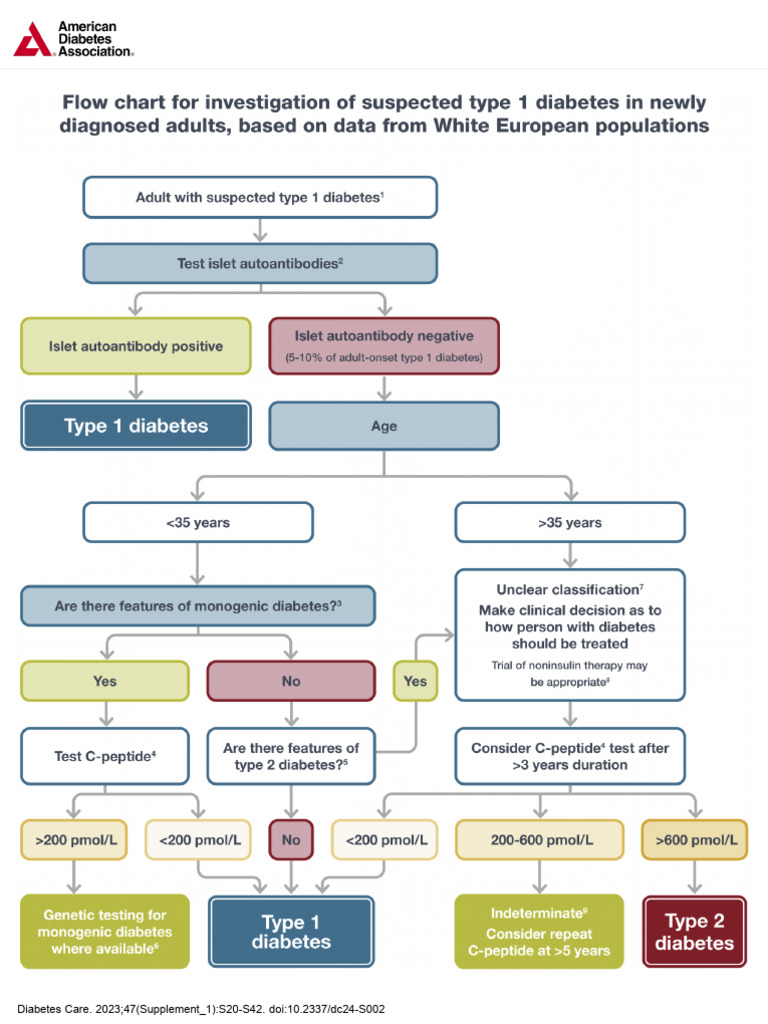 2023 Diabetes Care Supplement Overview | PDF