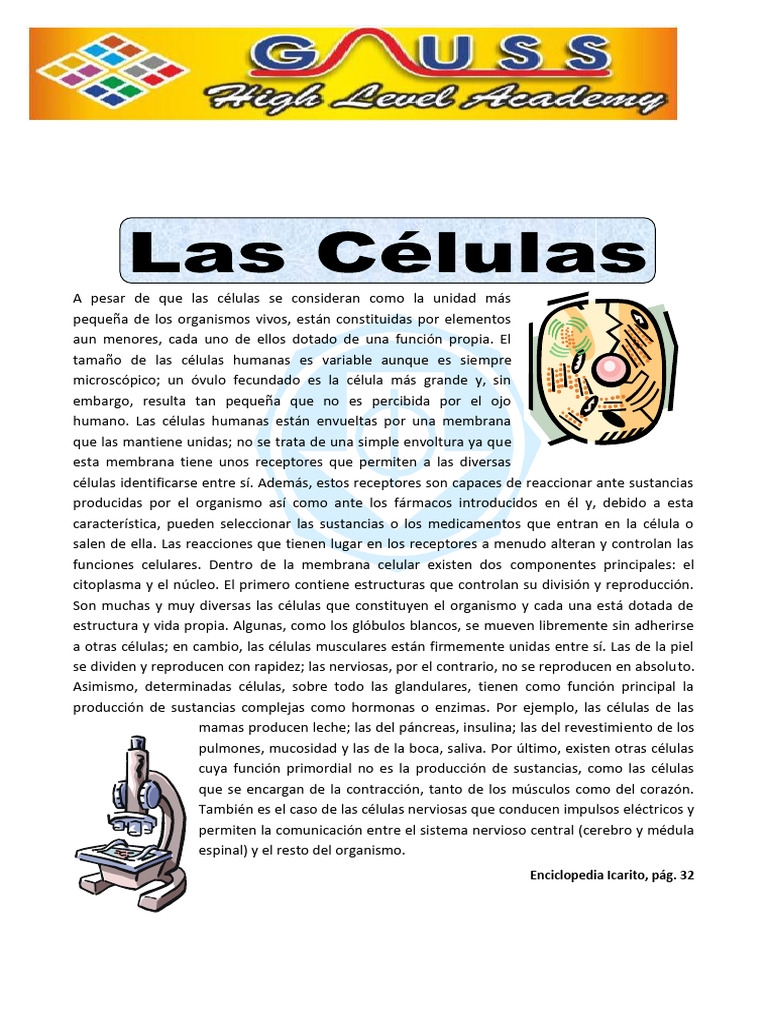 Las Celulas Lectura | PDF