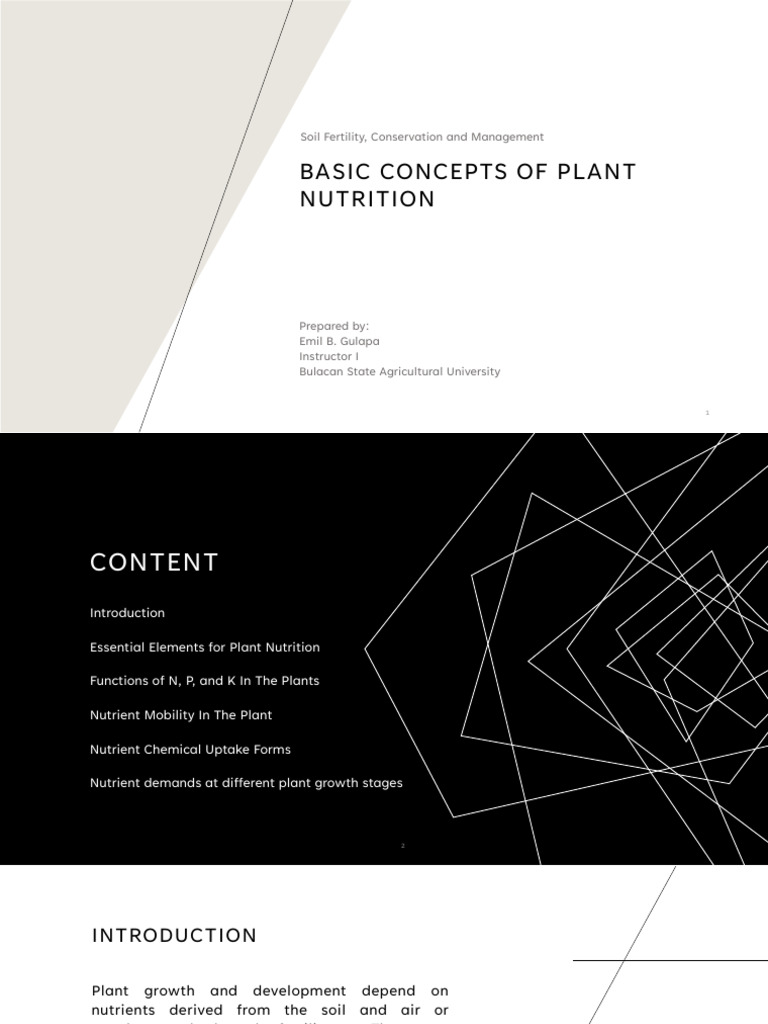 Essential Plant Nutrition Guide | PDF | Plant Nutrition | Nutrients