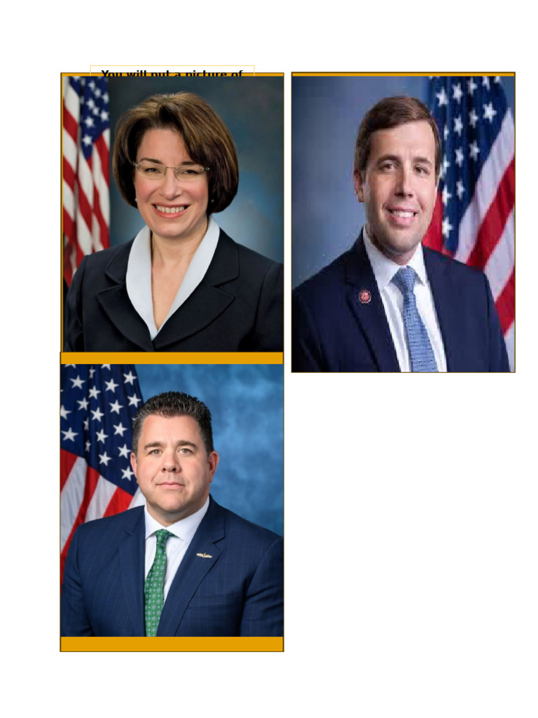 Fantasy Congress Trading Cards | PDF