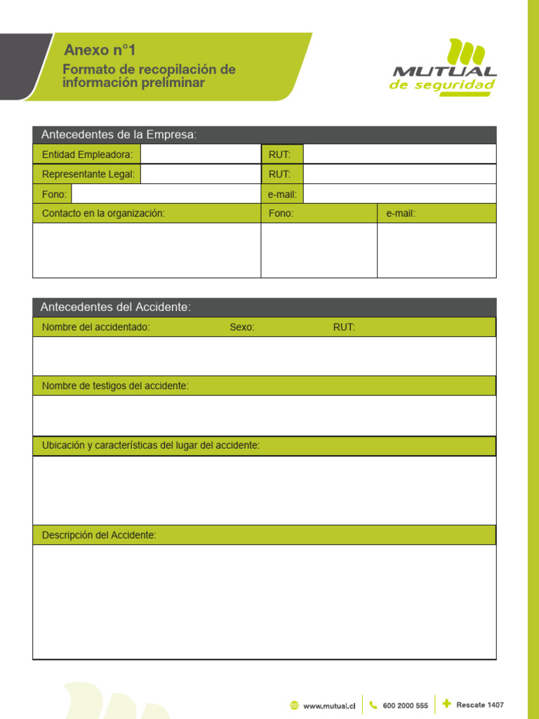 anexo-n1-formato | PDF