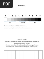 4 Valores Tonales | PDF | Color | Tecnicas artisticas