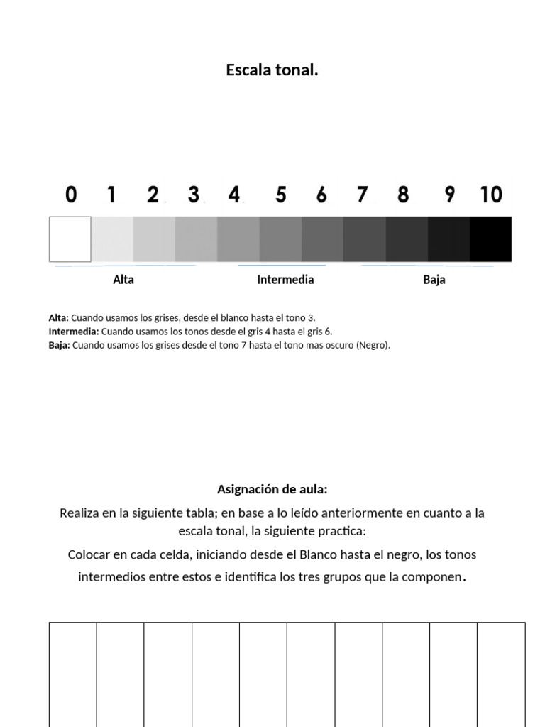 Escala Tonal en Fotografía y Dibujo | PDF
