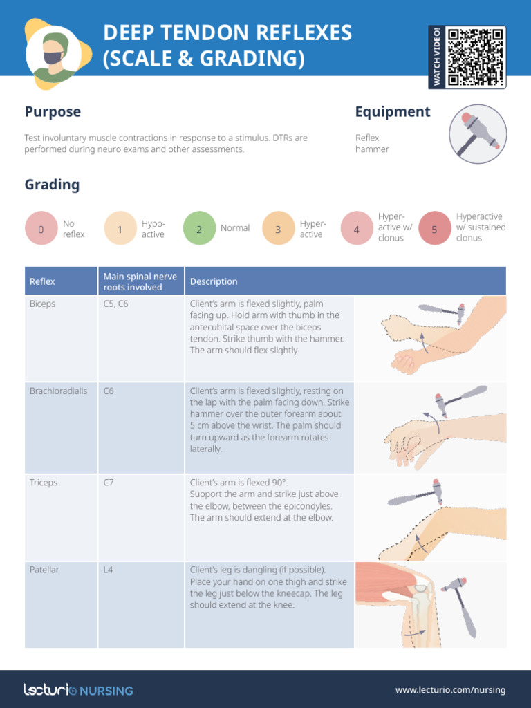 Nursing CS Deep Tendon ReflexesScale-Grading 02 | PDF | Arm | Primate ...