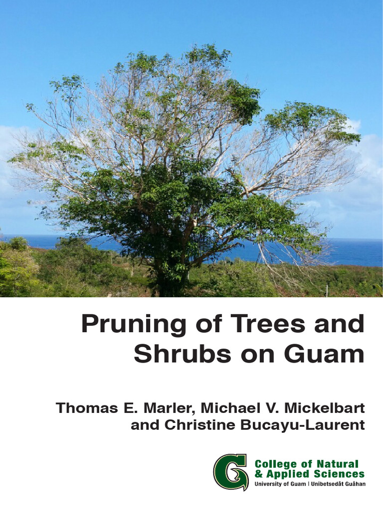 Tree_Pruning_Guide | PDF | Pruning | Trees