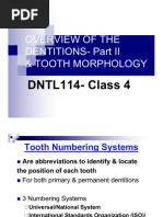Dental Anatomy: Tooth Classification Guide | PDF | Technology ...