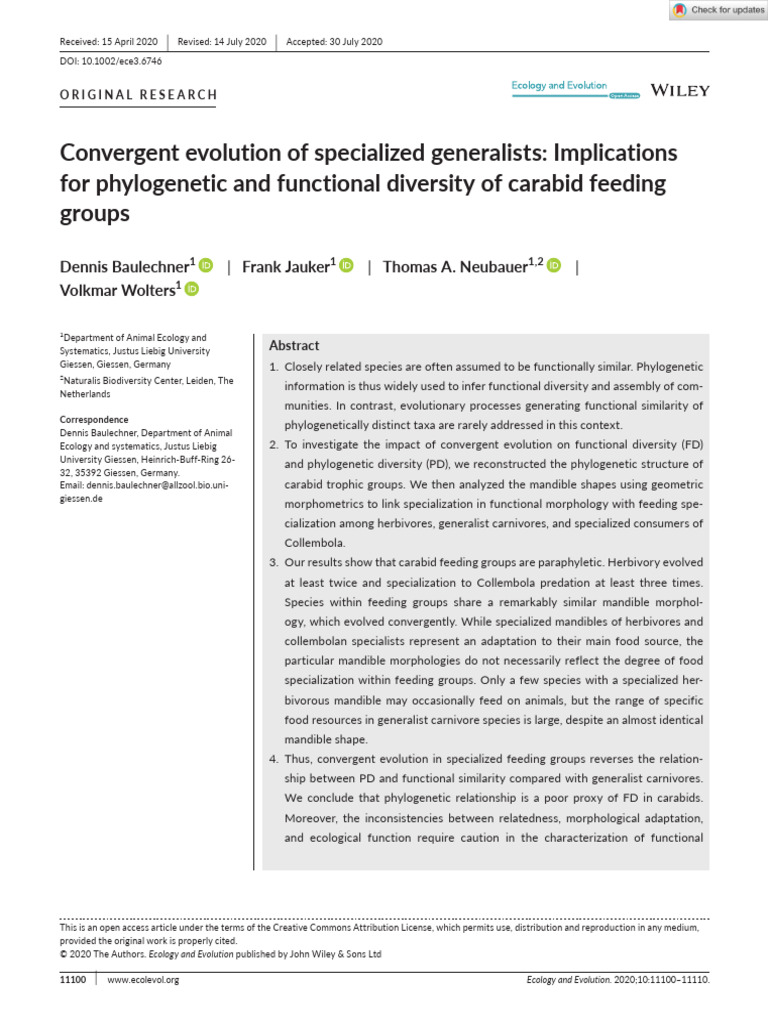 Convergent Evolution in Carabid Beetles | PDF | Ecology | Species