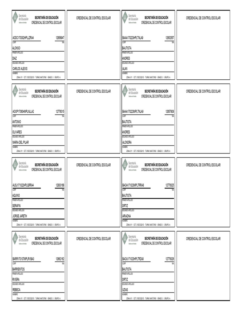 Formato y Ejemplo de NIA Escolar | PDF