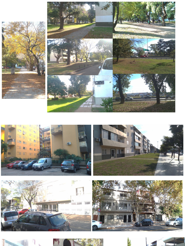 Morfo II - Analisis | PDF