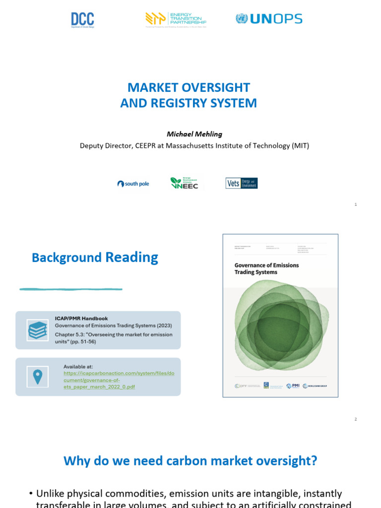 Carbon Market Oversight Strategies | PDF | Derivative (Finance ...