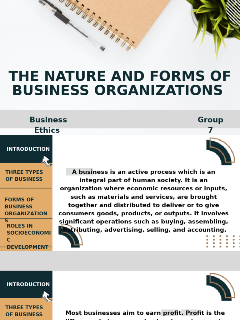 Types of Business Organizations Explained | PDF | Partnership | Ownership