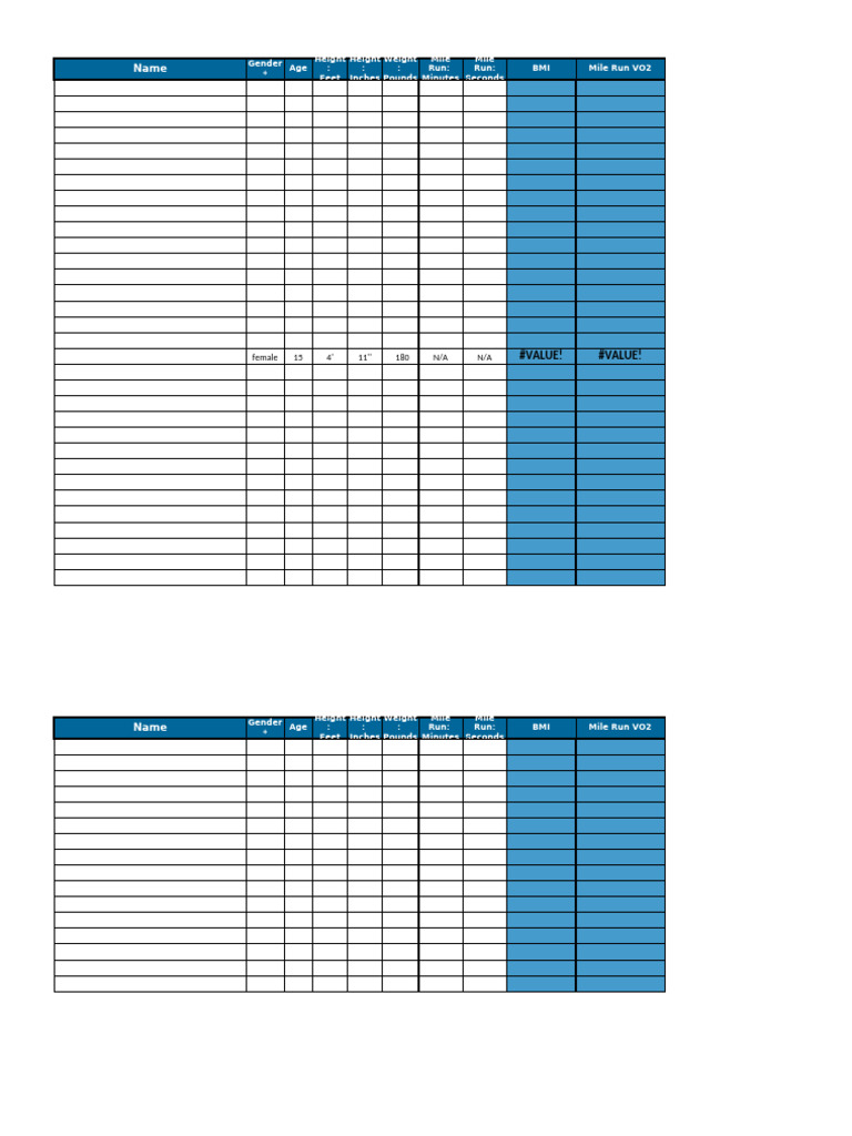 Fitness Data Entry Template | PDF