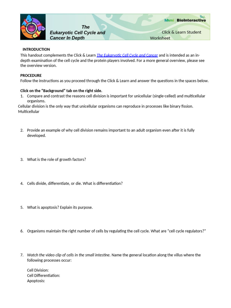 Eukaryotic Cell Cycle & Cancer Worksheet | PDF | Cell Cycle | Oncogene
