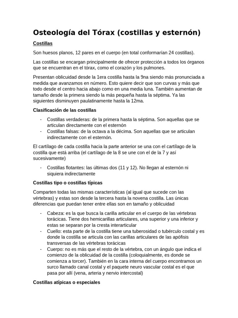Anatomia. GUIA1 Osteología Del Tórax | PDF | Tórax | Sistema esquelético