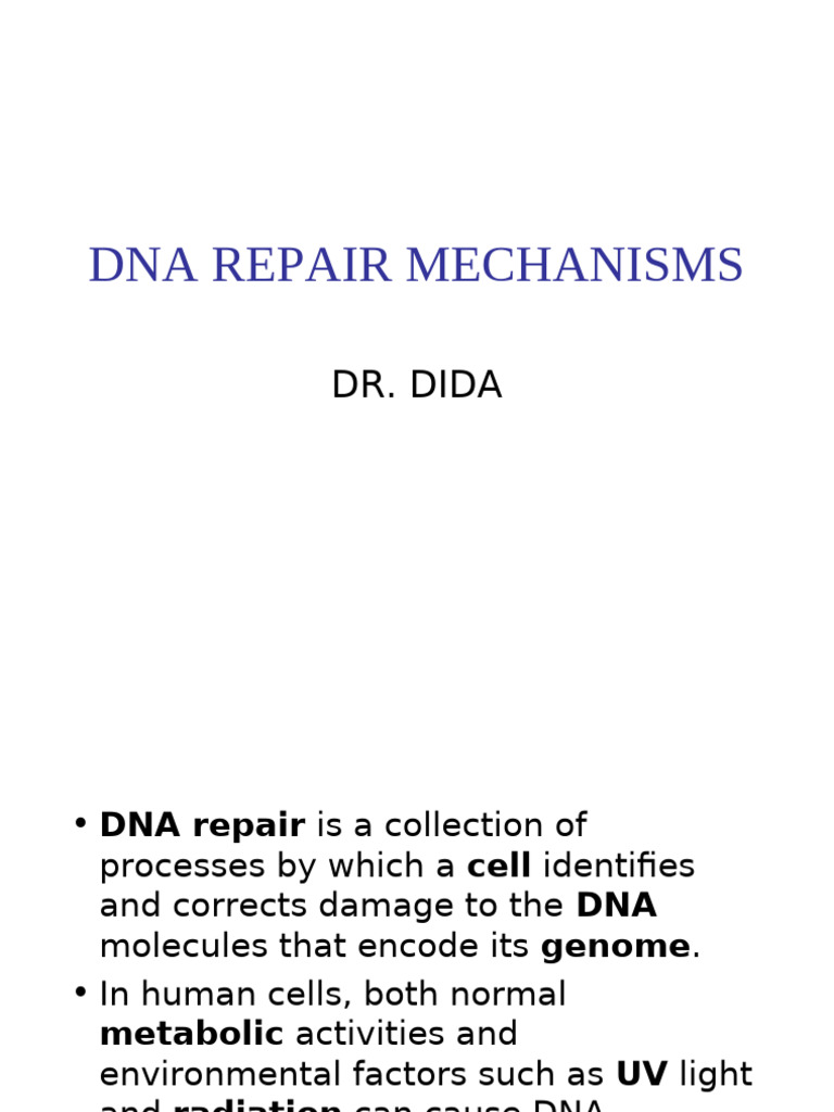 Understanding DNA Repair Mechanisms | PDF | Dna Repair | Dna