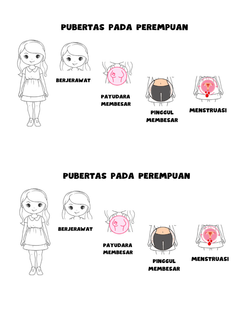 LKPD Ipas Pubertas | PDF