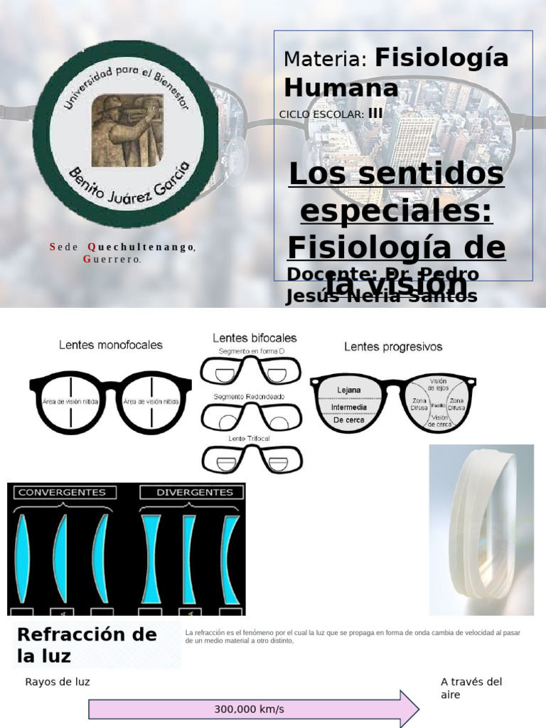 Sentido Vision 051849 | PDF | Ojo humano | Refracción