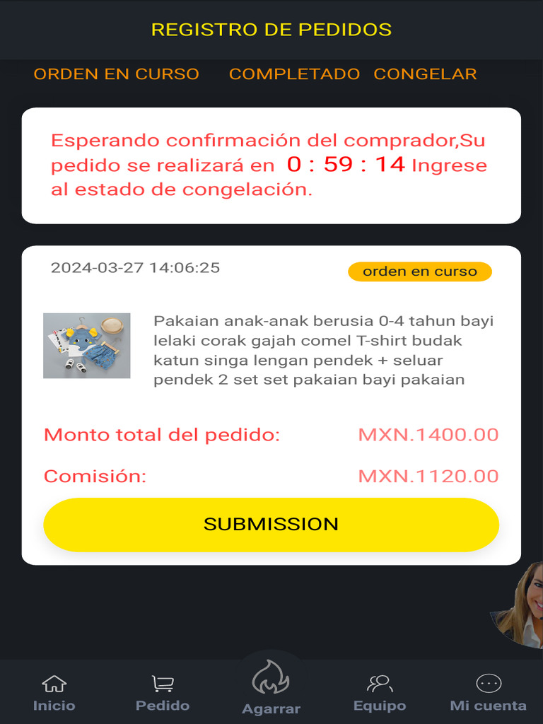 Registro de Pedidos | PDF