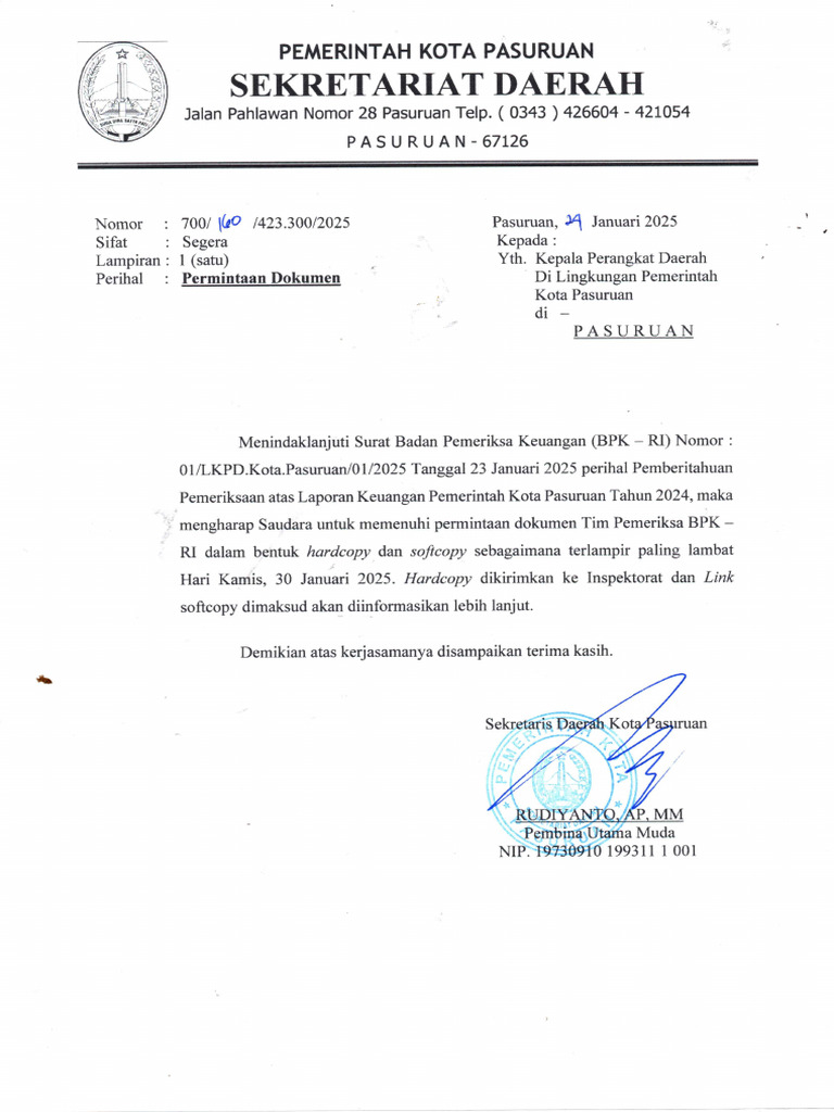 Surat Permintaan BPK | PDF