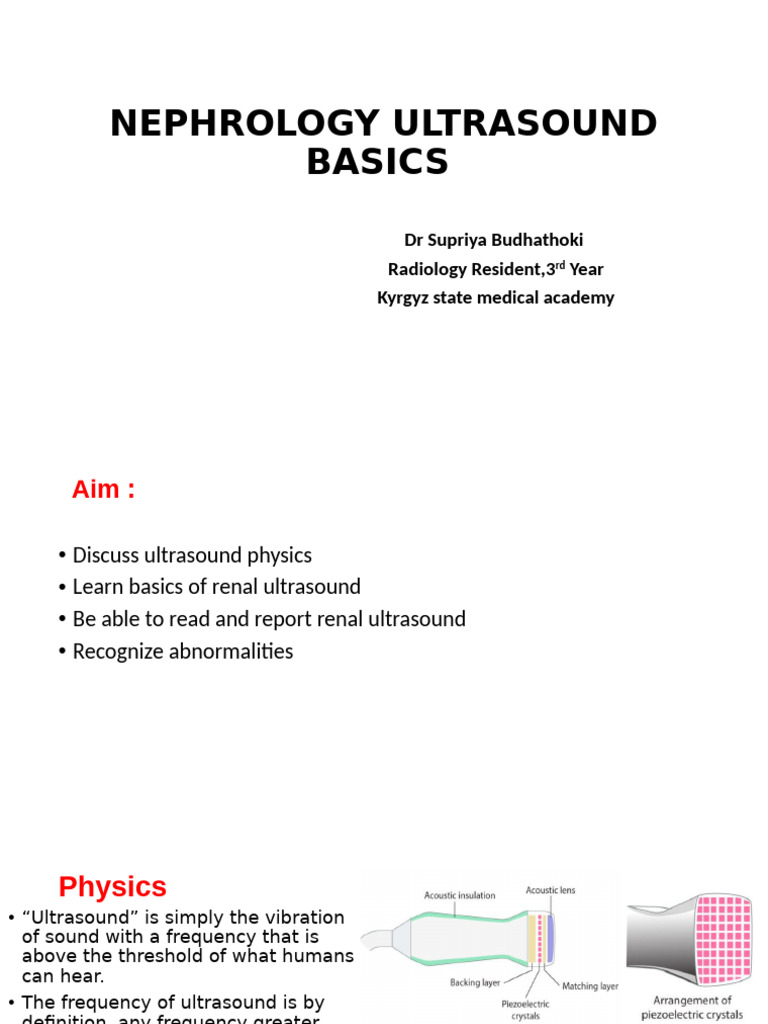 Nephrology Ultrasound Basics | PDF | Kidney | Genitourinary System
