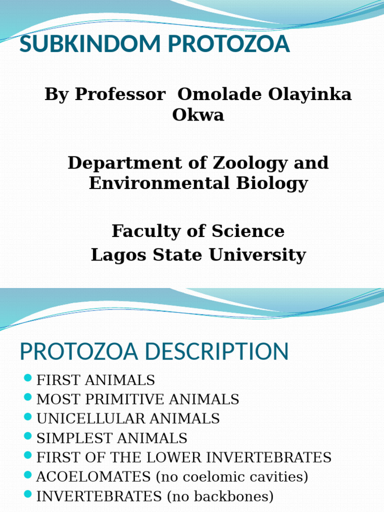SUBKINDOM PROTOZOAN (2023) | PDF | Protozoa | Biology