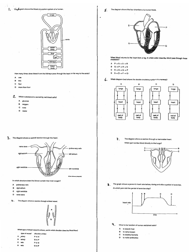 Blood Biology Classified Questions | PDF
