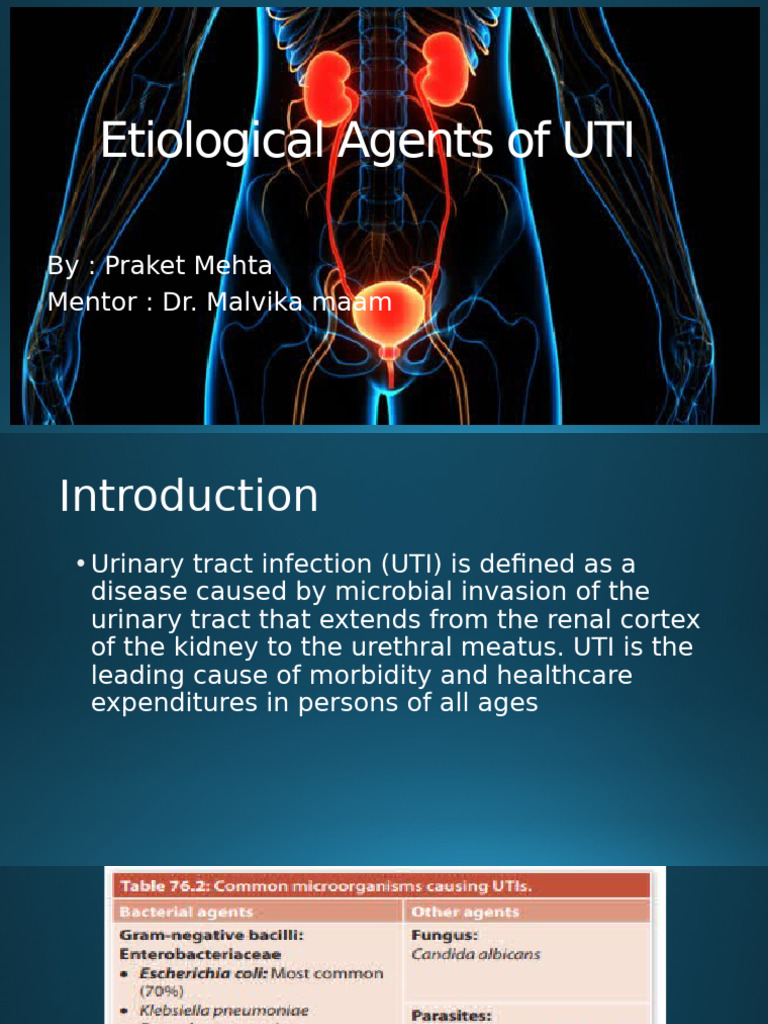 UTI ppt edit | PDF | Urinary Tract Infection | Microbiology