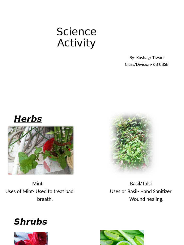 Science Enrichment Activity | PDF