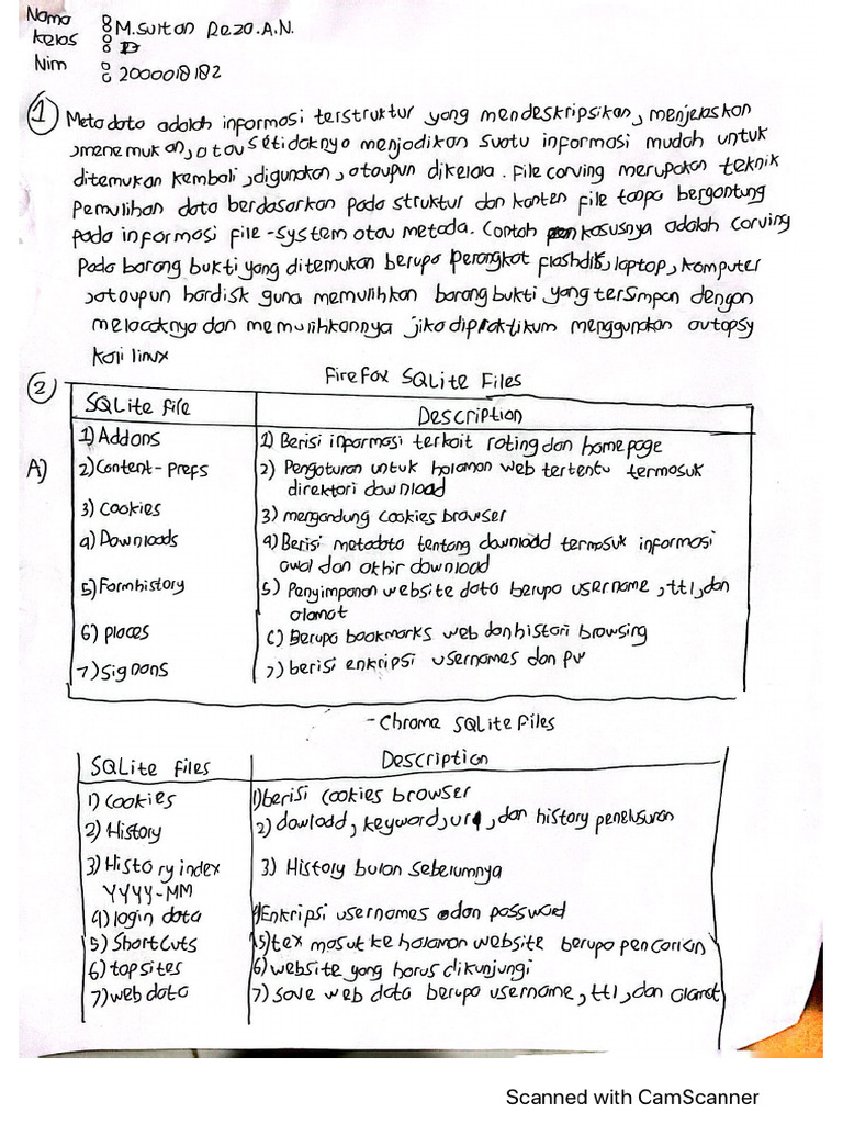 Muhammad Sultan Reza D | PDF
