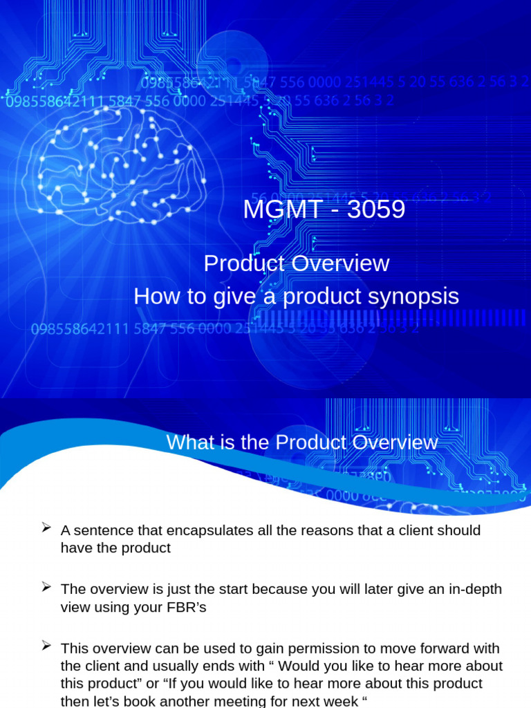 Lecture - The Product Overview | PDF