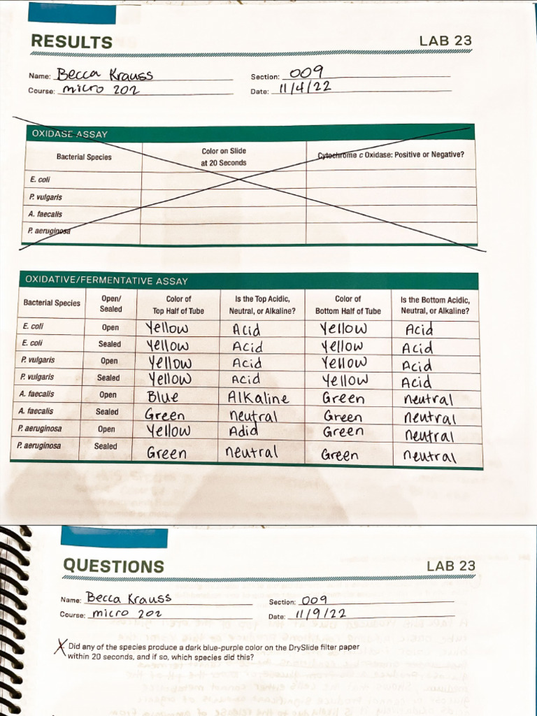 Lab 23 | PDF