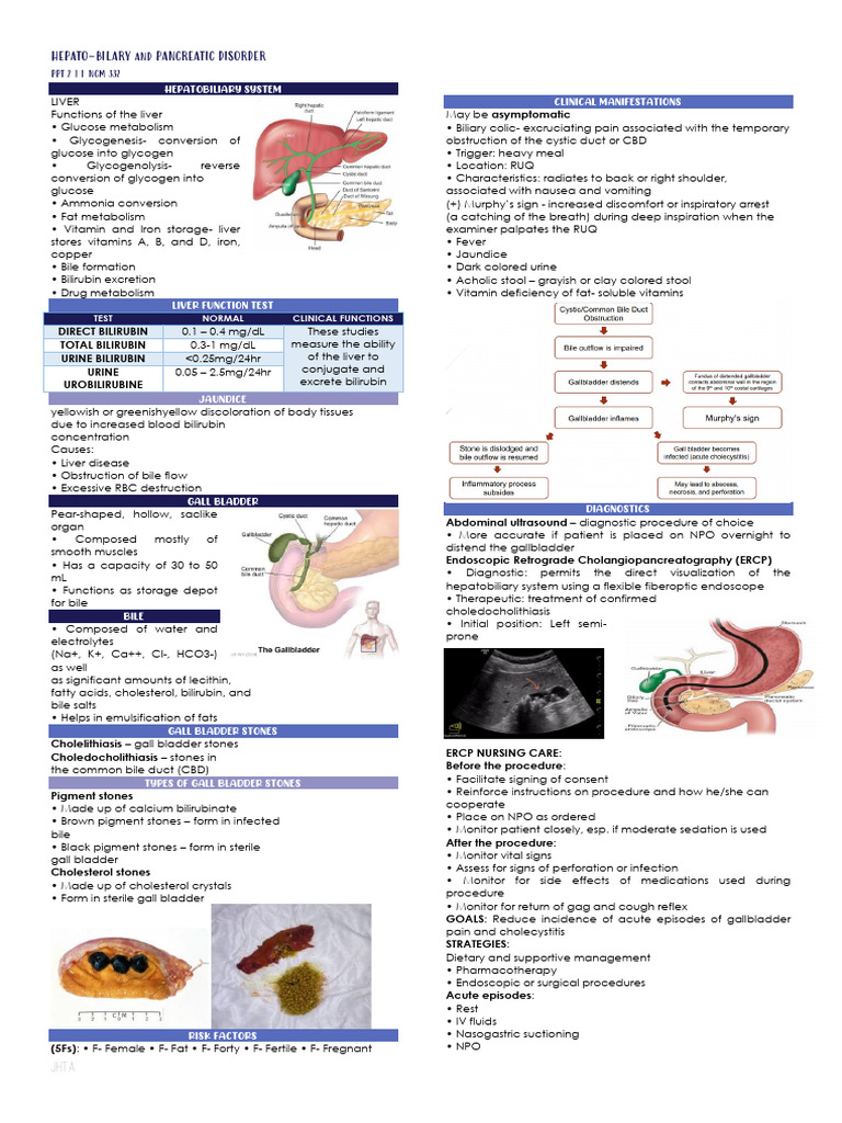 Hepatobiliary System | PDF | Liver | Digestive System