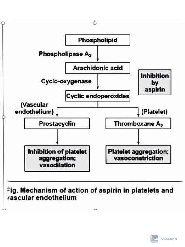 Moa of Aspirin | PDF