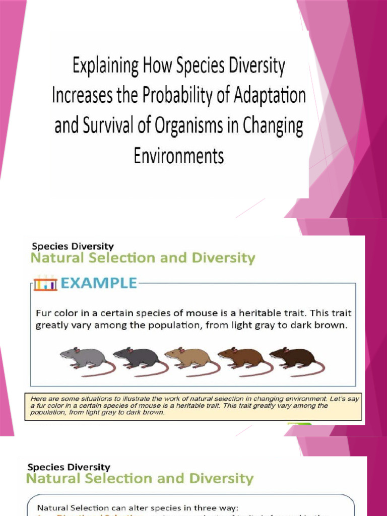 Explaining How Species Diversity Increases The Probability of ...