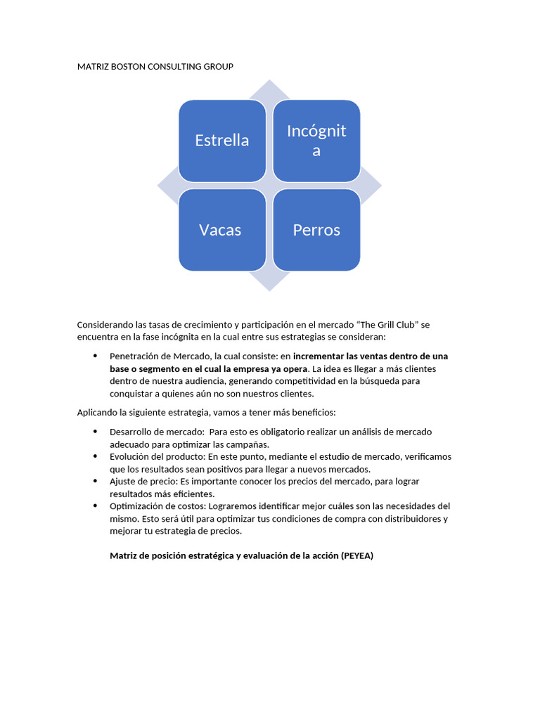 Matriz Boston Consulting Group | PDF