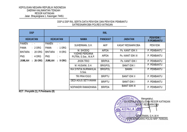 1 DSP Dan DSP Riil Serta Data Penyidik | PDF