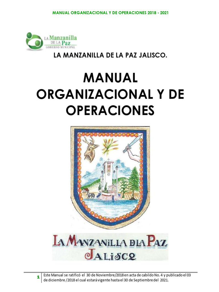 Manual Organizacion y de Operaciones 2019 | PDF | Gobierno local | Alcalde
