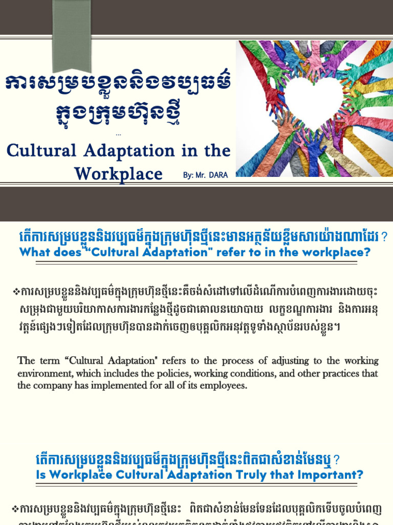 Cultural Adaptation | PDF