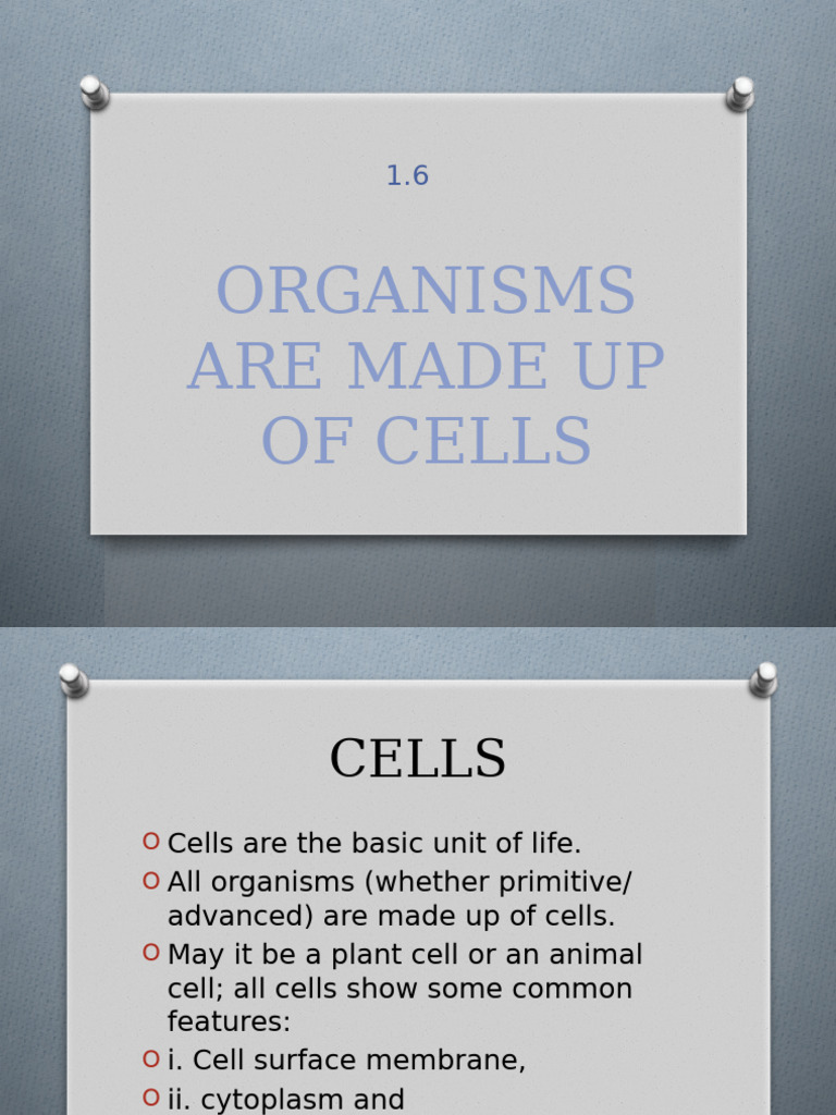 Understanding Cell Structure and Types | PDF