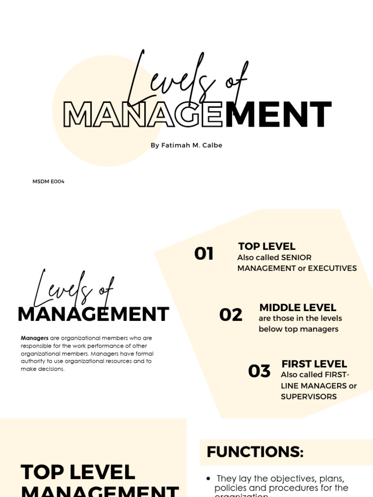 Levels of Management | PDF | Hierarchy | Business Economics