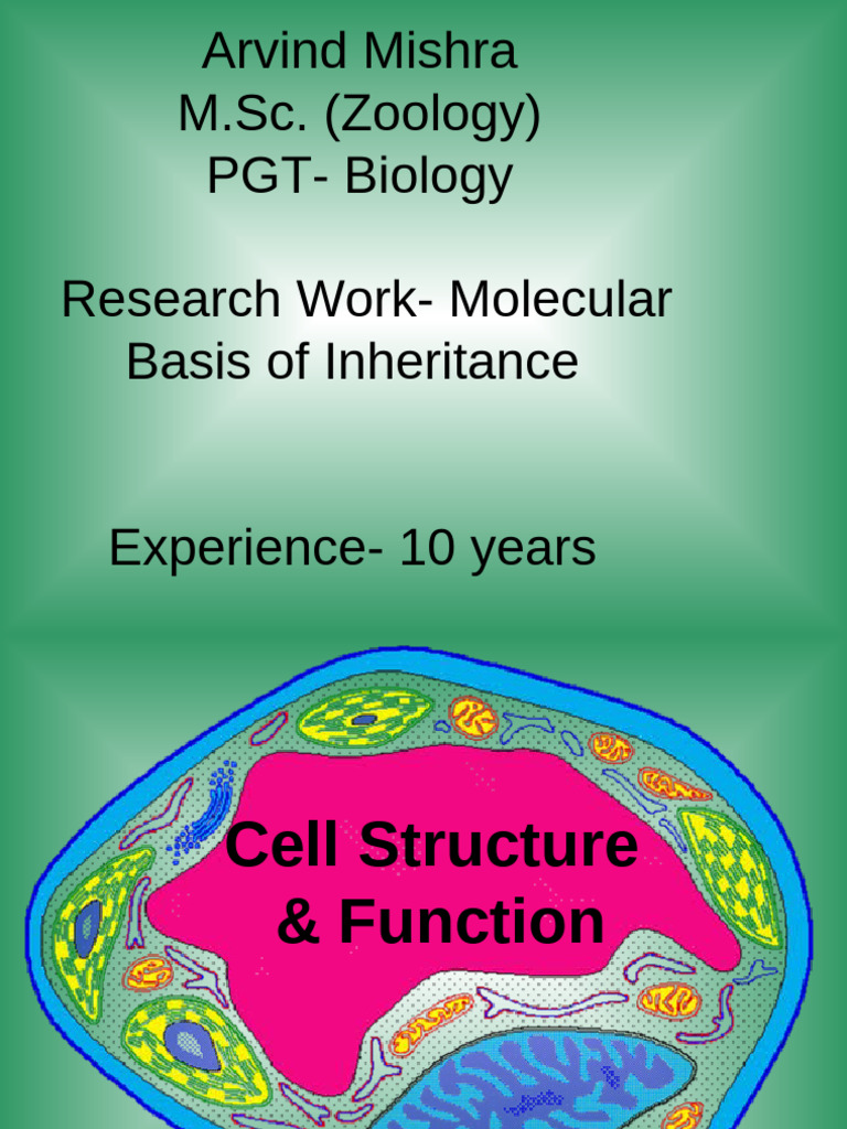 Cell_structure_function ppt | PDF | Cell (Biology) | Cell Nucleus