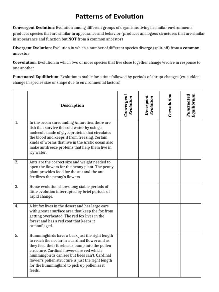 Patterns of Evolution Practice | PDF | Flowers | Evolution
