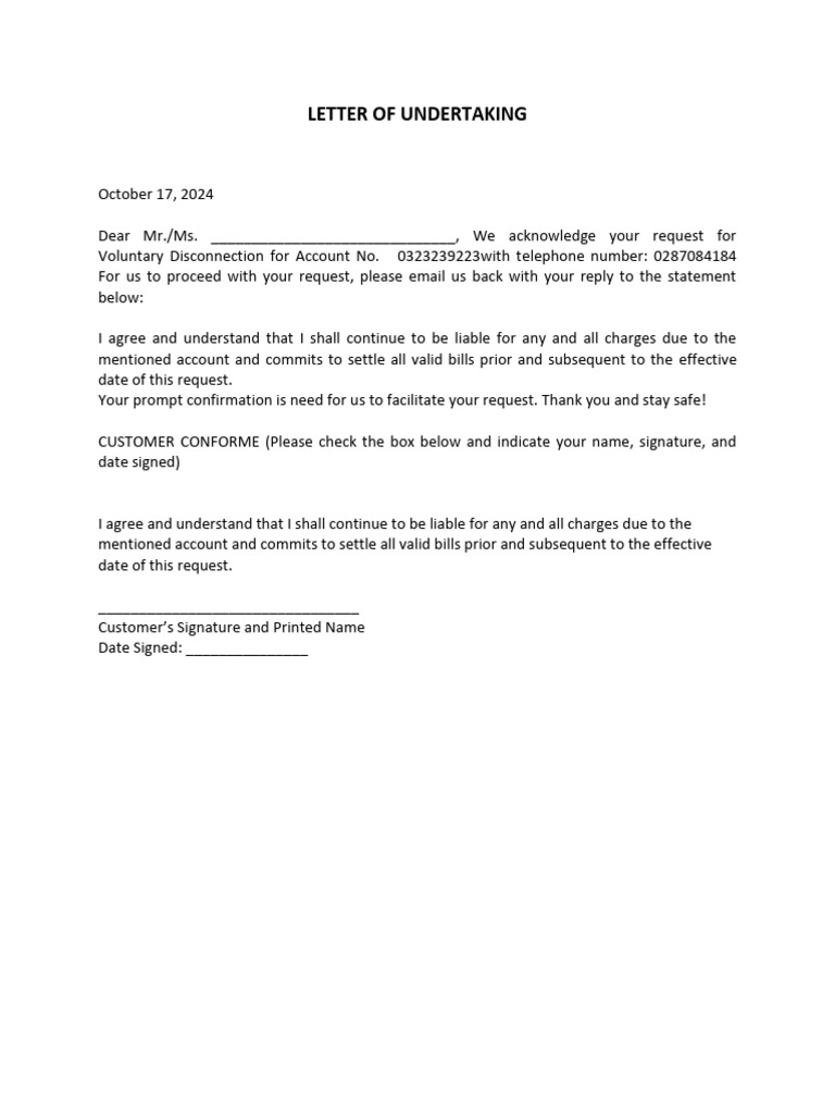 LETTER OF UNDERTAKING | PDF