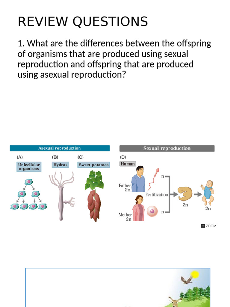 Ecology 2nd Quarter | PDF