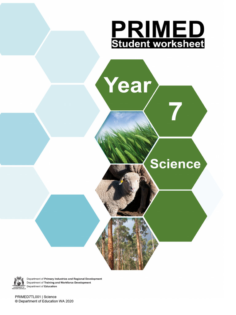 Science Y7 Student Worksheets | PDF | Insects