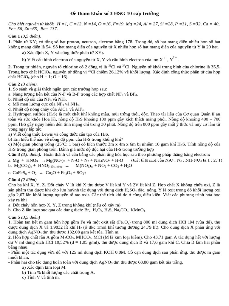 ĐỀ THAM KHẢO SỐ 3 HSG 10 CẤP TRƯỜNG | PDF