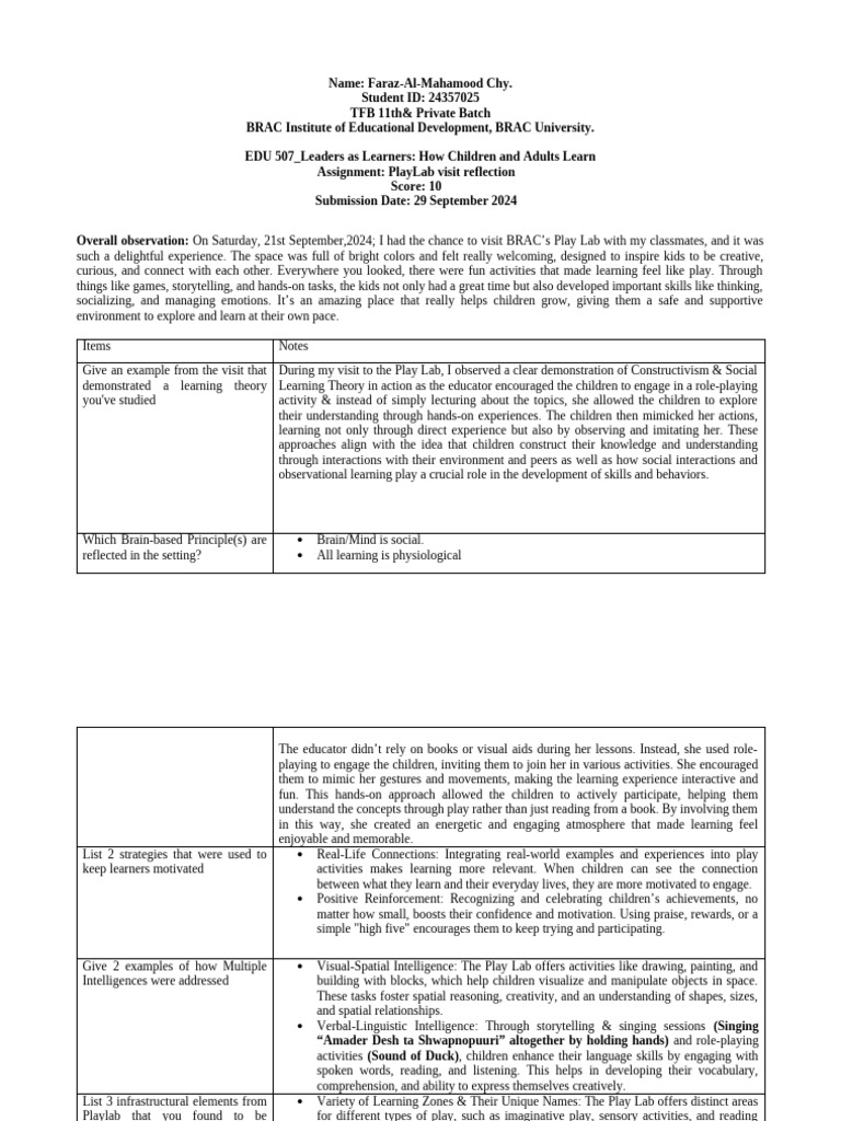 Faraz - EDU507 - Playlab Visit Observation | PDF | Learning | Creativity